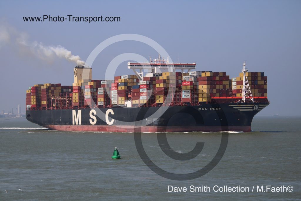 MSC REEF - Container - Photo Transport